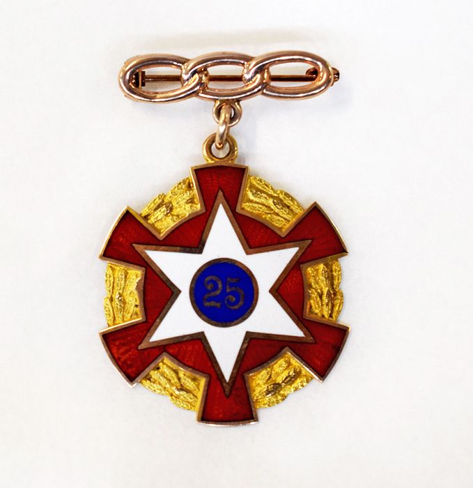 IOOF 25 Year Gold and Enamel Brooch